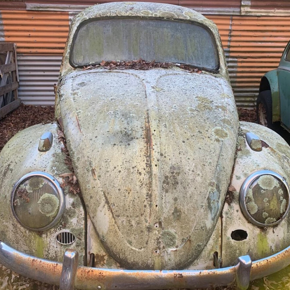 Used – Buzzbug VW Parts